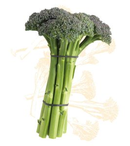 Sweet Baby Broccoli - Ocean Mist Farms